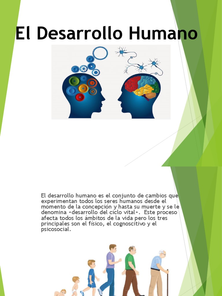 El Desarrollo Humano | PDF | Homo Sapiens | Infancia