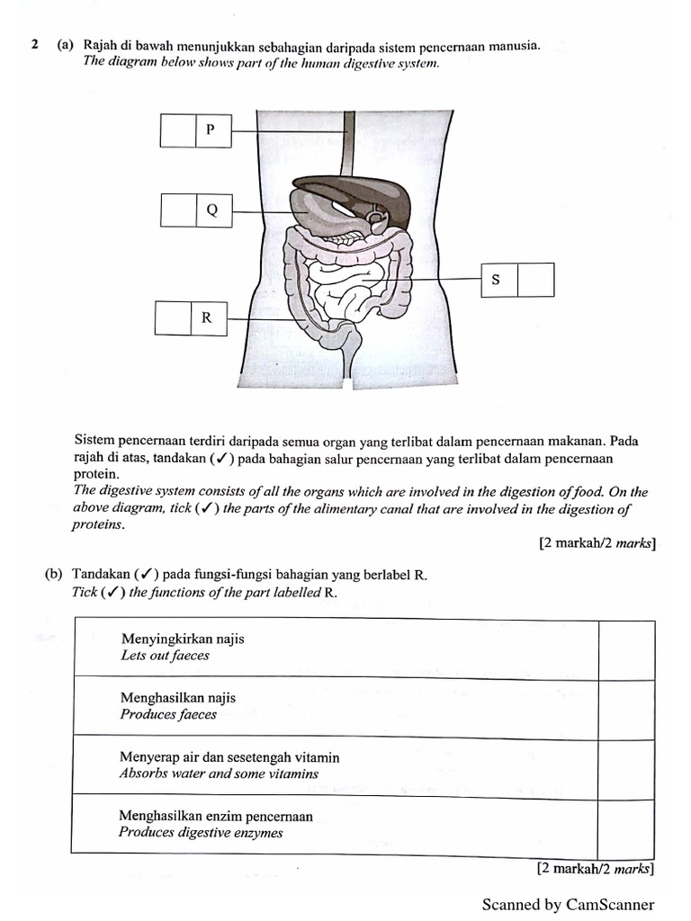 Science Form 2 | PDF