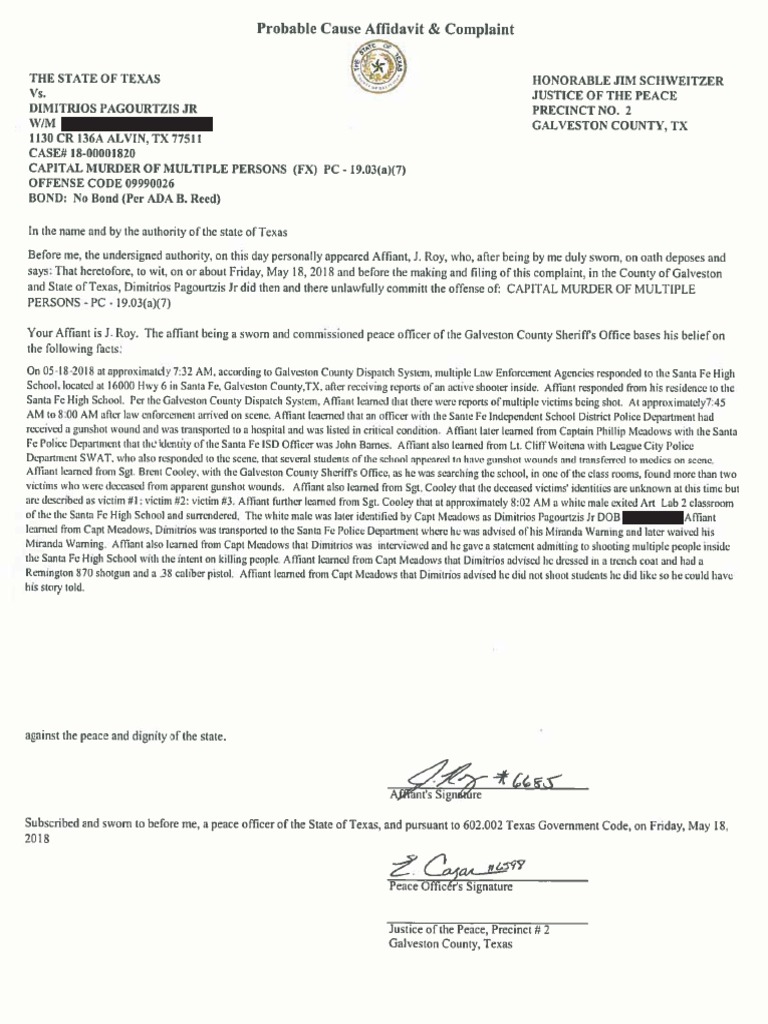 Dimitrios Pagourtzis JR Affidavit | PDF | Misconduct | Criminal Justice