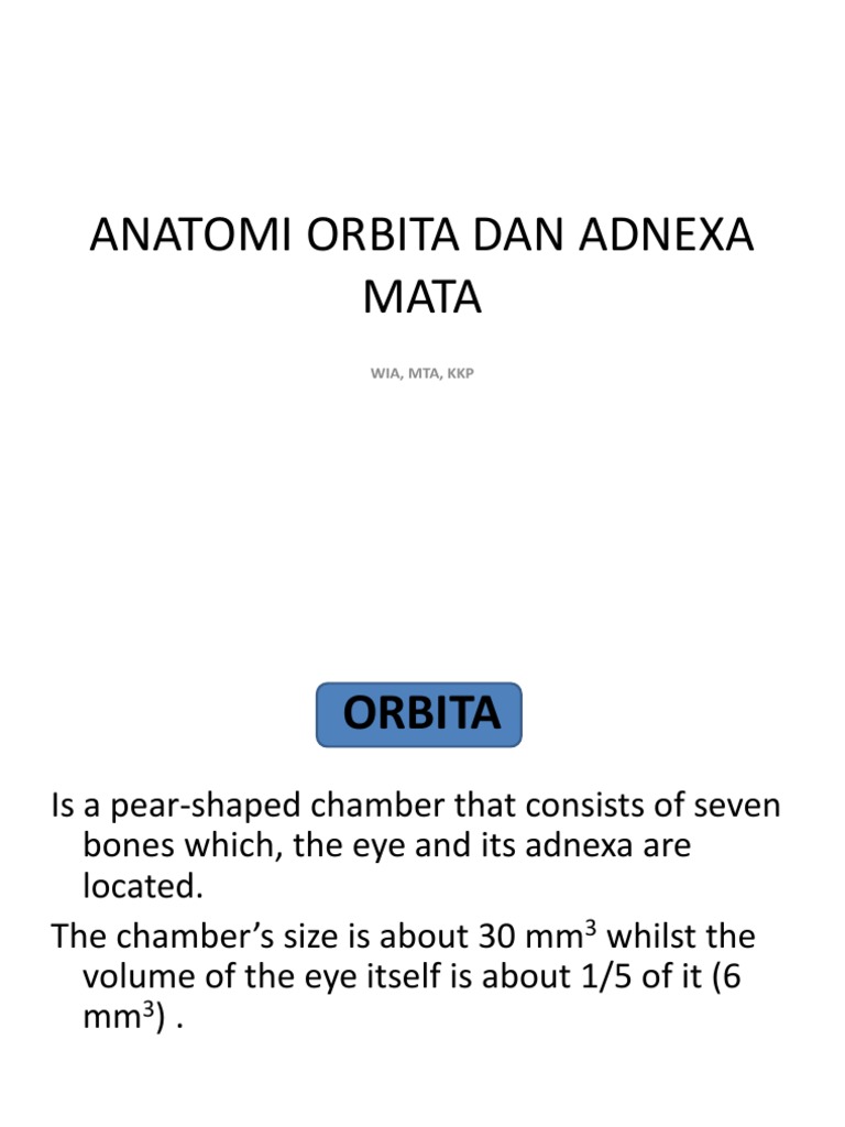Anatomi Orbita Dan Adnexa Mata | PDF