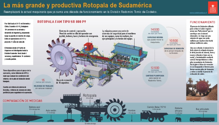Infografia Rotopala | PDF | Compostos químicos | Natureza
