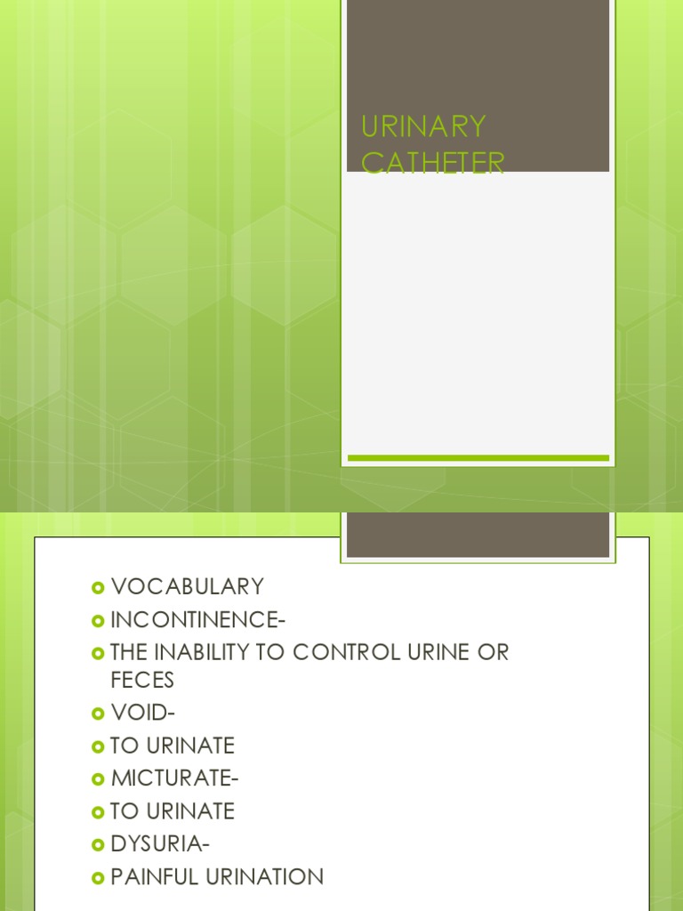 Urinary | PDF | Urinary Incontinence | Catheter