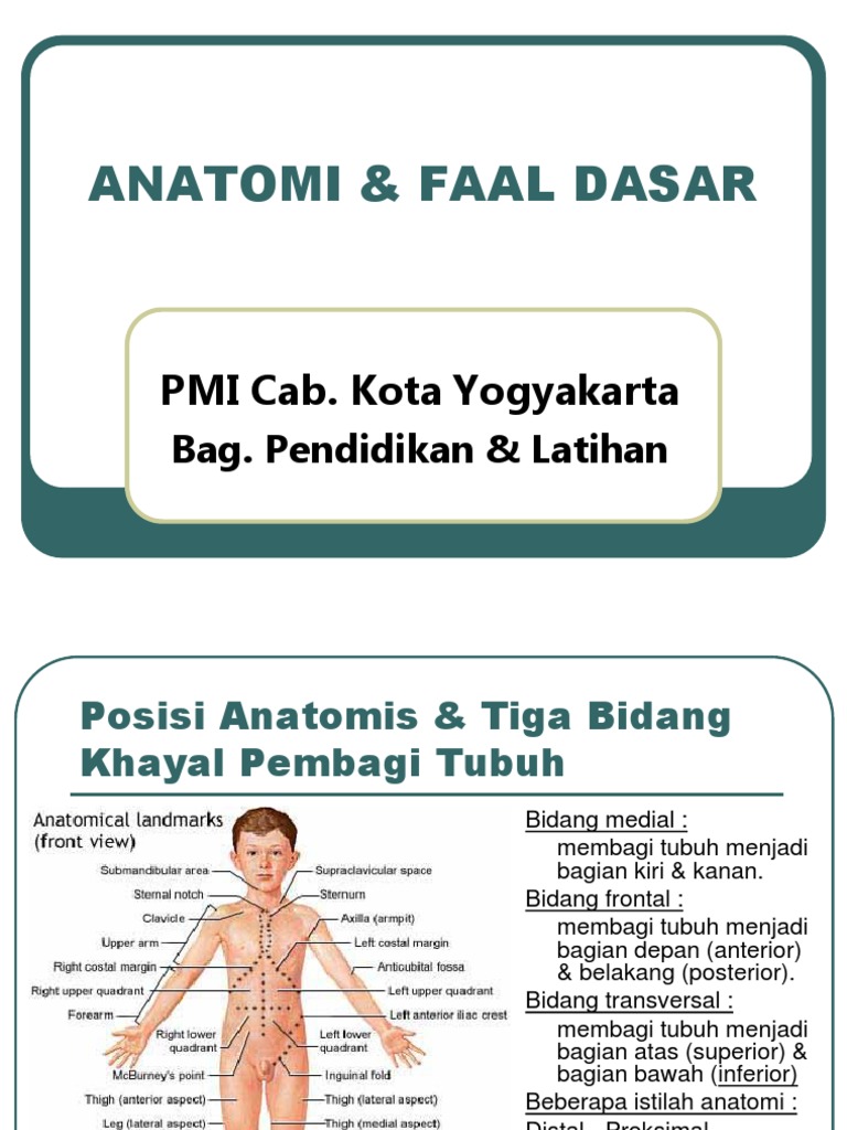 Anatomi & Faal Dasar | PDF