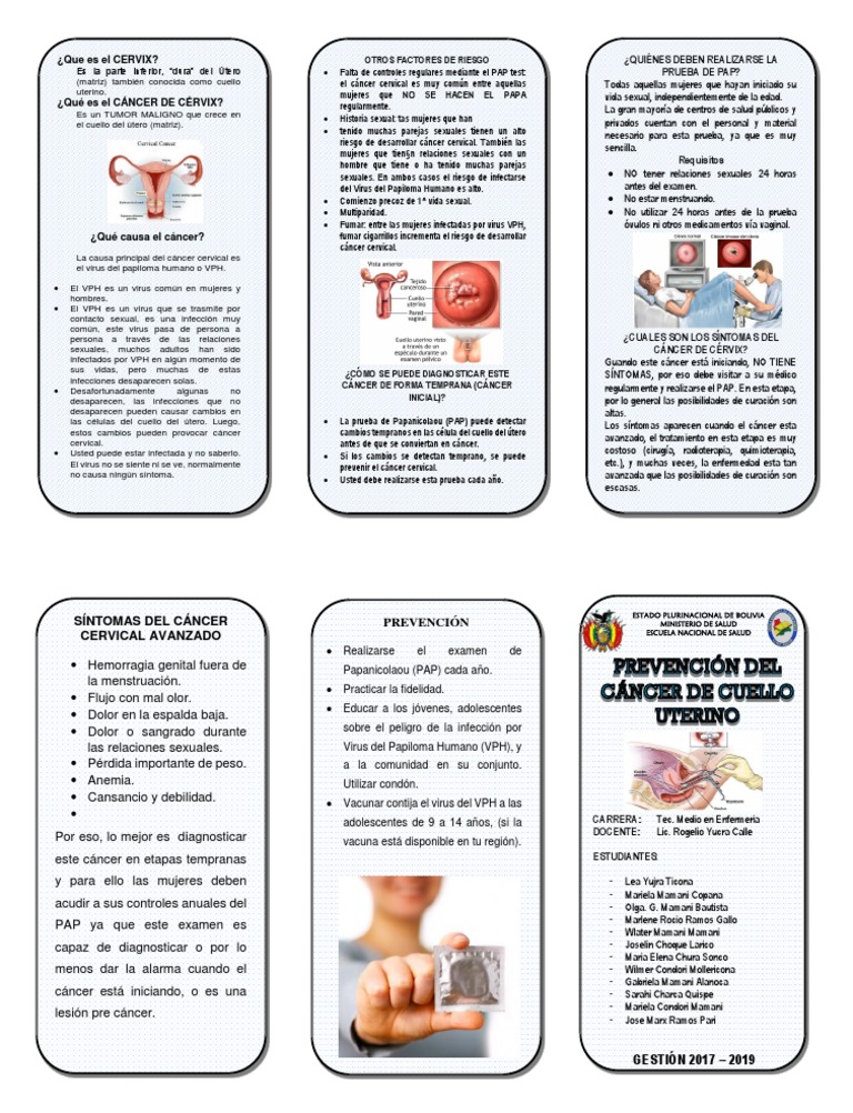 Cancer Del Cuello Uterino Triptico