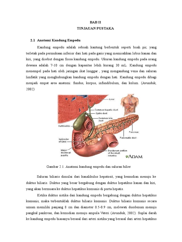 CRS Kolelitiasis | PDF