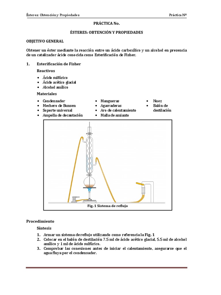 Esterificación Pdf Ester Química Orgánica