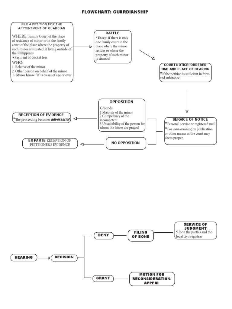Flowchart | PDF | Legal Guardian | Separation Of Powers