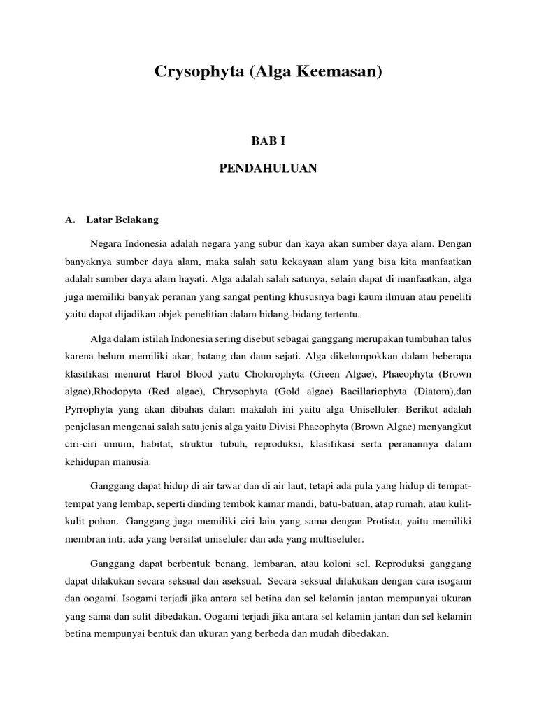 CHRYSOPHYTA Plankton Mklah Temporary | PDF