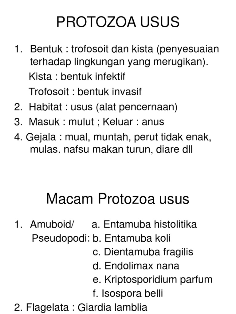 Protozoa Usus | PDF