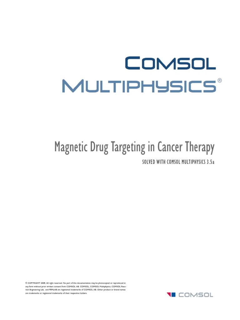 Magnetic Drug Targeting PDF | PDF | Magnetic Field | Fluid Dynamics