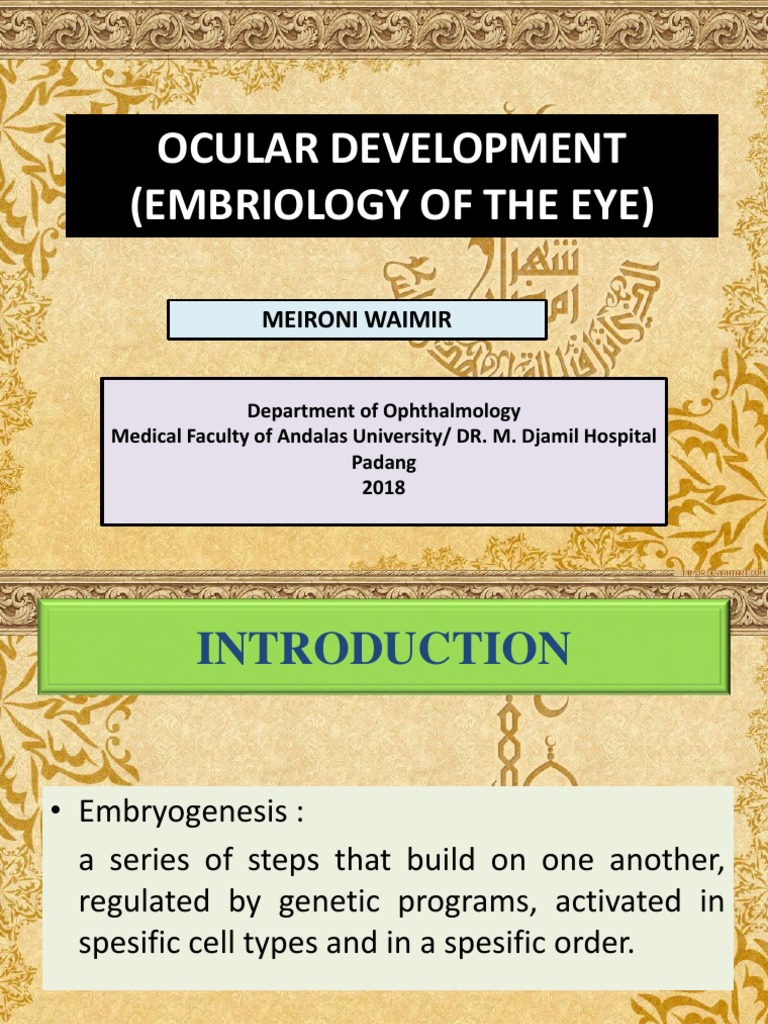 A Comprehensive Overview of Ocular Development from Embryonic Origins ...