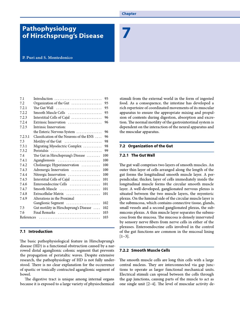 Pathophysiology of HD | PDF | Gastrointestinal Tract | Autonomic ...