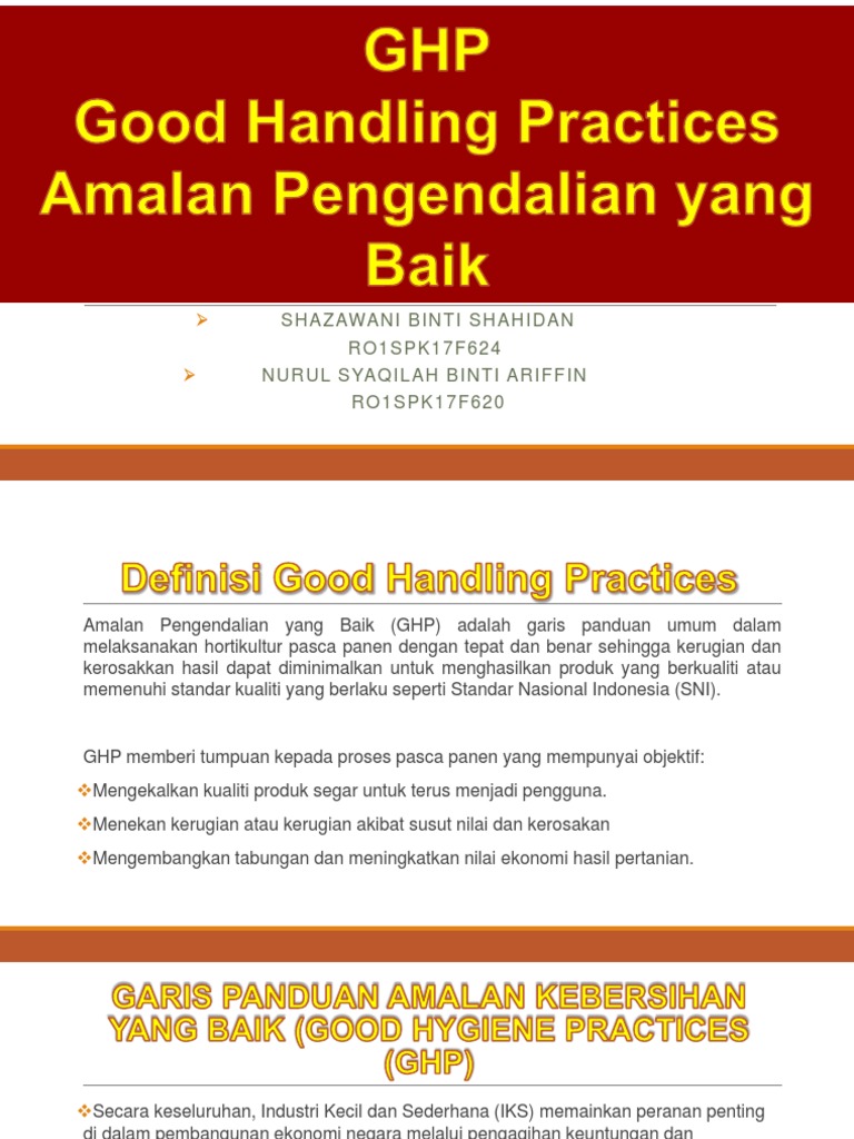 Presentation Good Hygiene Practice | PDF