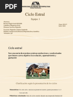 Ciclo Estral de La Vaca | PDF | Hormona luteinizante | La salud de la mujer