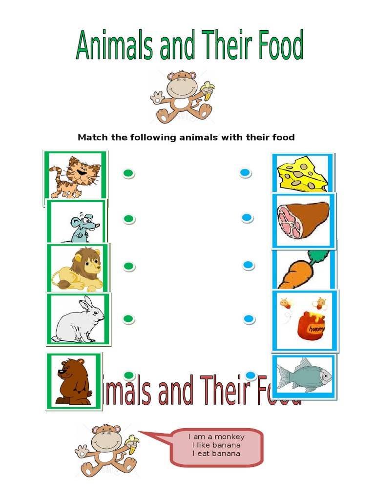 Animal Food Matching Activity | PDF | Religion & Spirituality