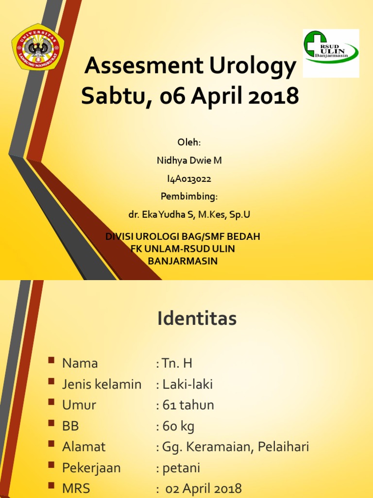Assesment Urology | PDF