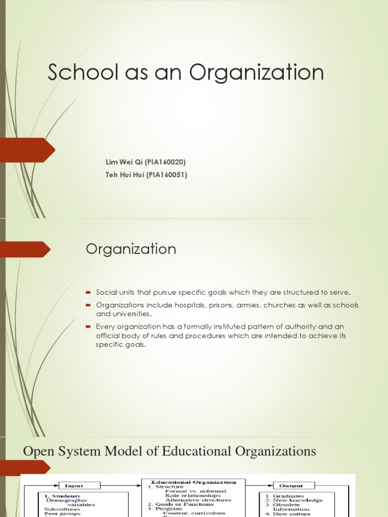 School As An Organization - Socio | PDF | Bureaucracy | Schools