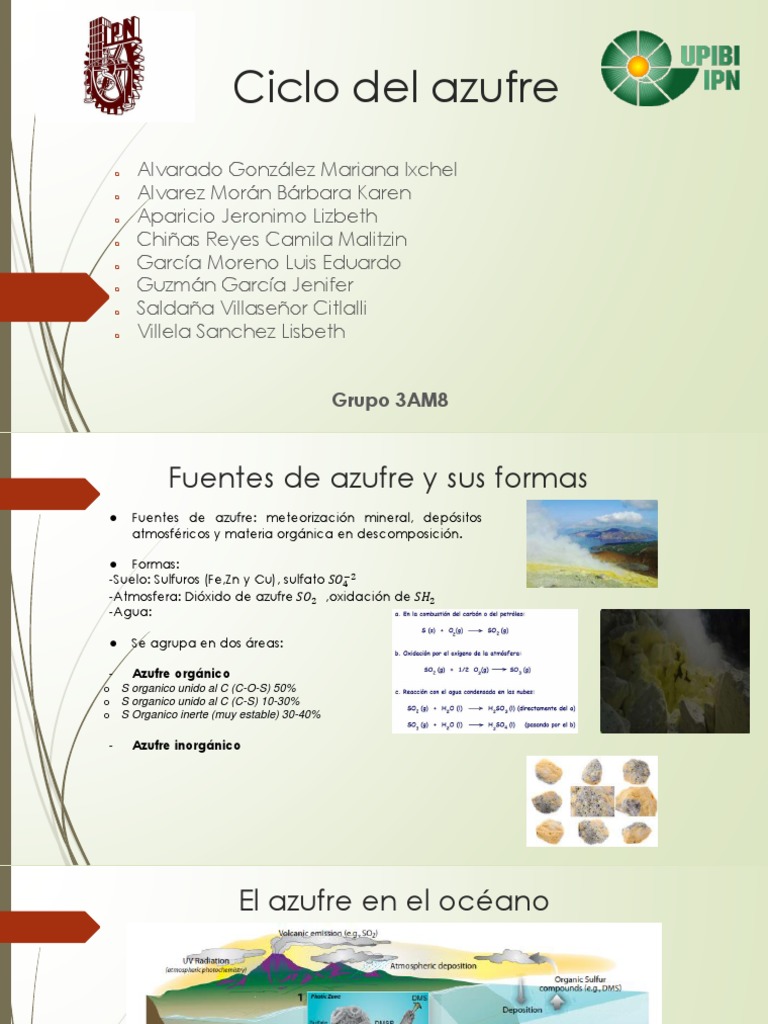 Ciclo Del Azufre | PDF