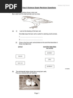 Year 7 Science | PDF | Cell (Biology) | Organisms