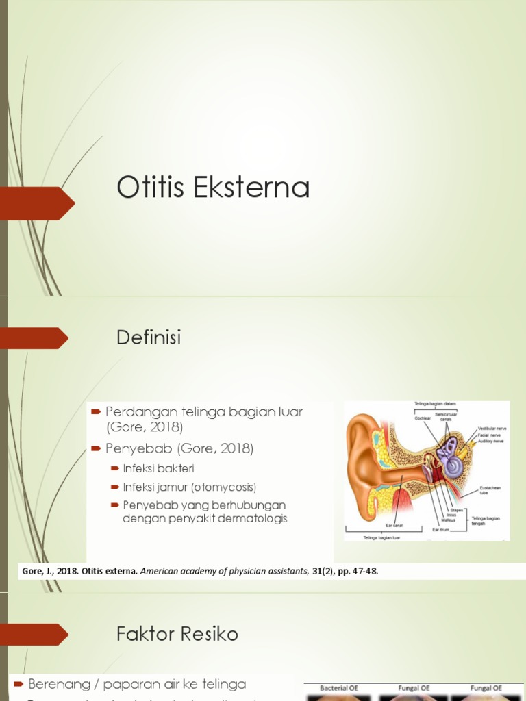 Otitis Eksterna | PDF