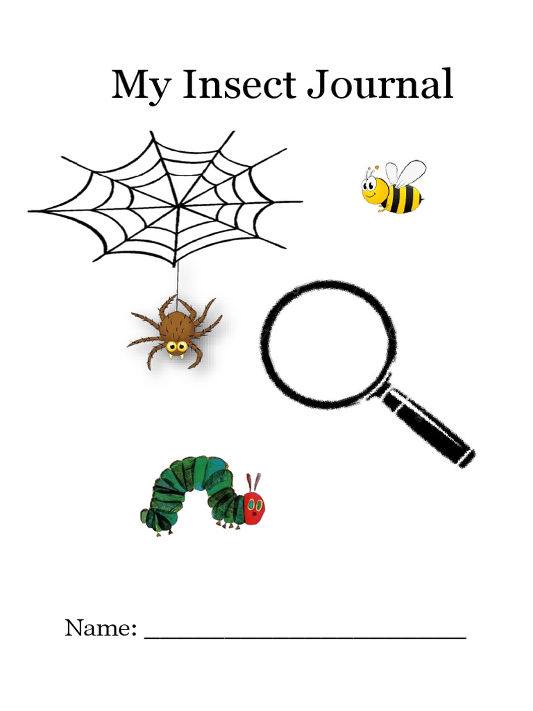Insect Research and Observation Guide | PDF