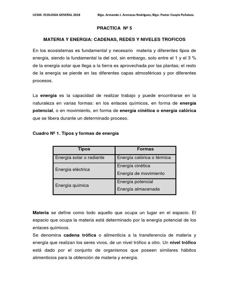 Materia y Energía en Cadenas Tróficas | PDF | Red alimentaria | Naturaleza