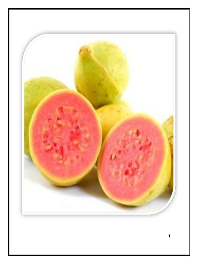 Proyecto Mermelada de Guayaba | PDF | Injerto | Población