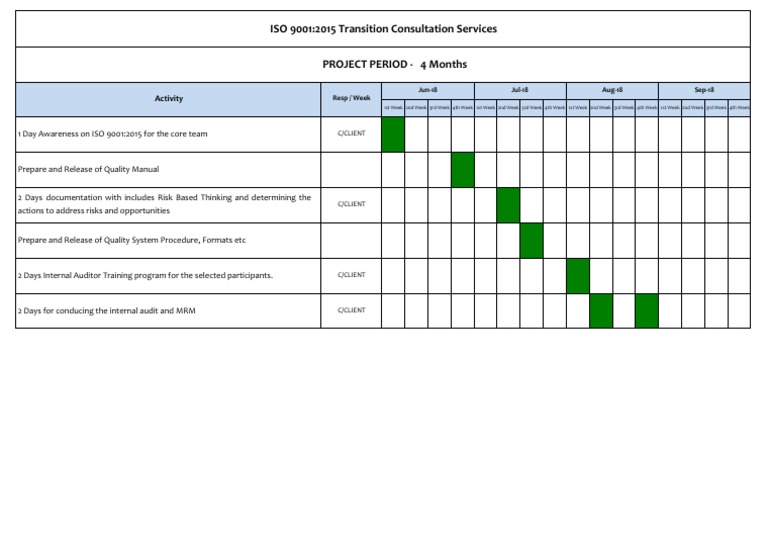 Action Plan For QMS | PDF