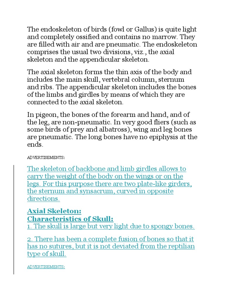 The Endoskeleton of Birds. | PDF | Vertebral Column | Vertebra