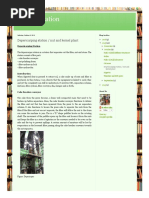 Mpob Grading Manual NEW2 | PDF