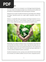 Environmental Issues Project | PDF | Natural Environment | Sound