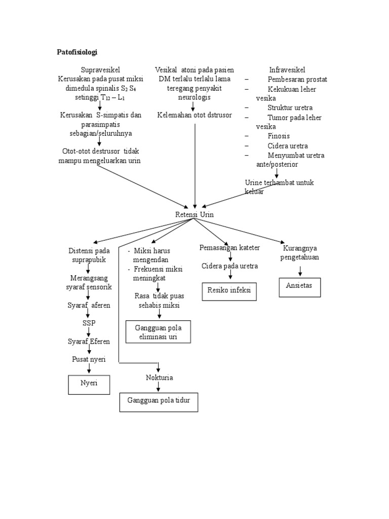 Pathway Retensi Urine | PDF