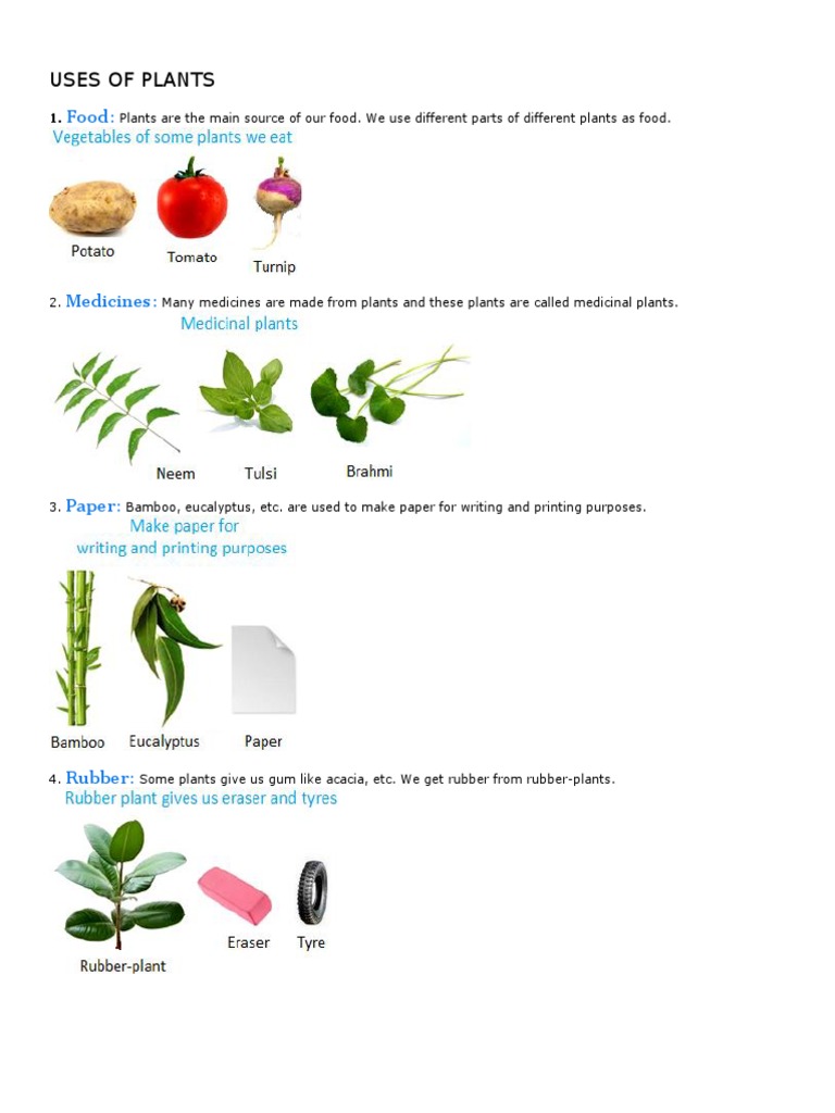 Uses of Plants | PDF