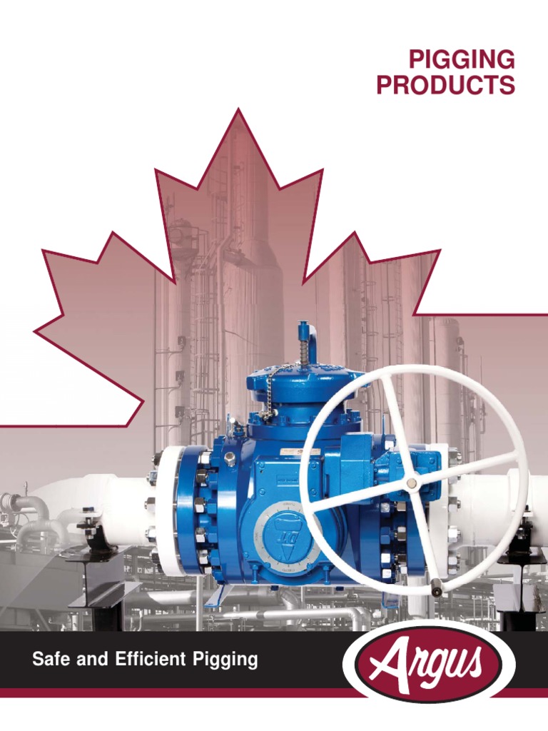 Pig Valve Brochure | PDF | Valve | Pipe (Fluid Conveyance)