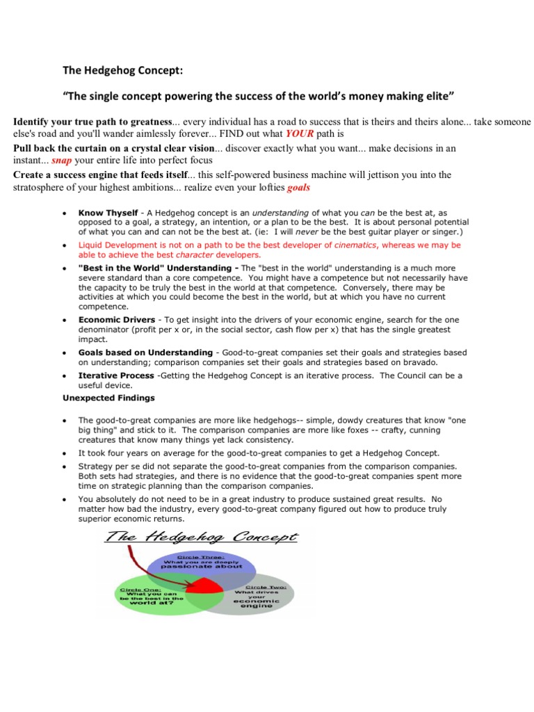 The Hedgehog Concept | PDF | Cognition | Business