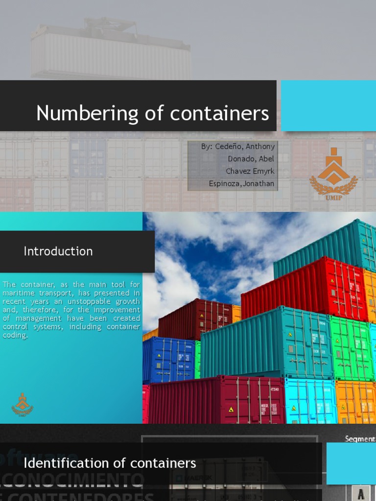 Decoding Container Identification: A Guide to Understanding Container Numbering Systems, Risk ...