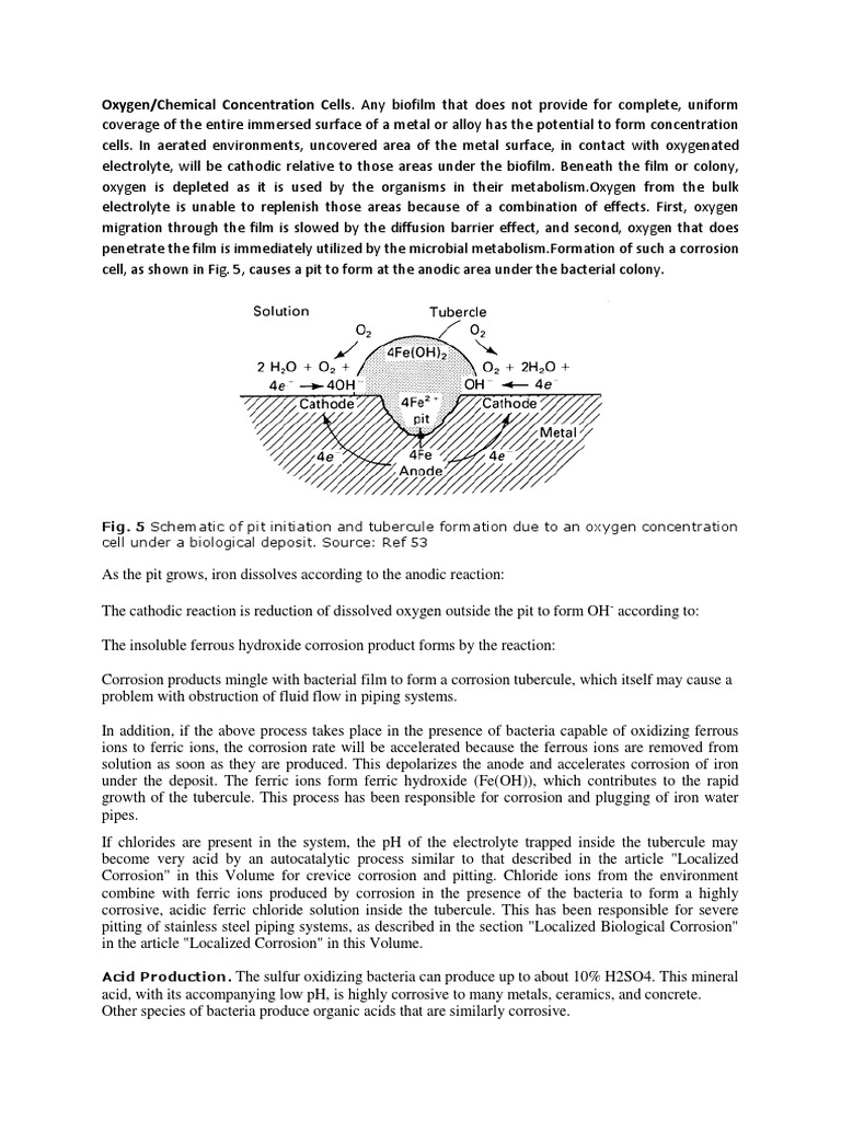 Oxygen/Chemical Concentration Cells. Any Biofilm That Does Not Provide ...