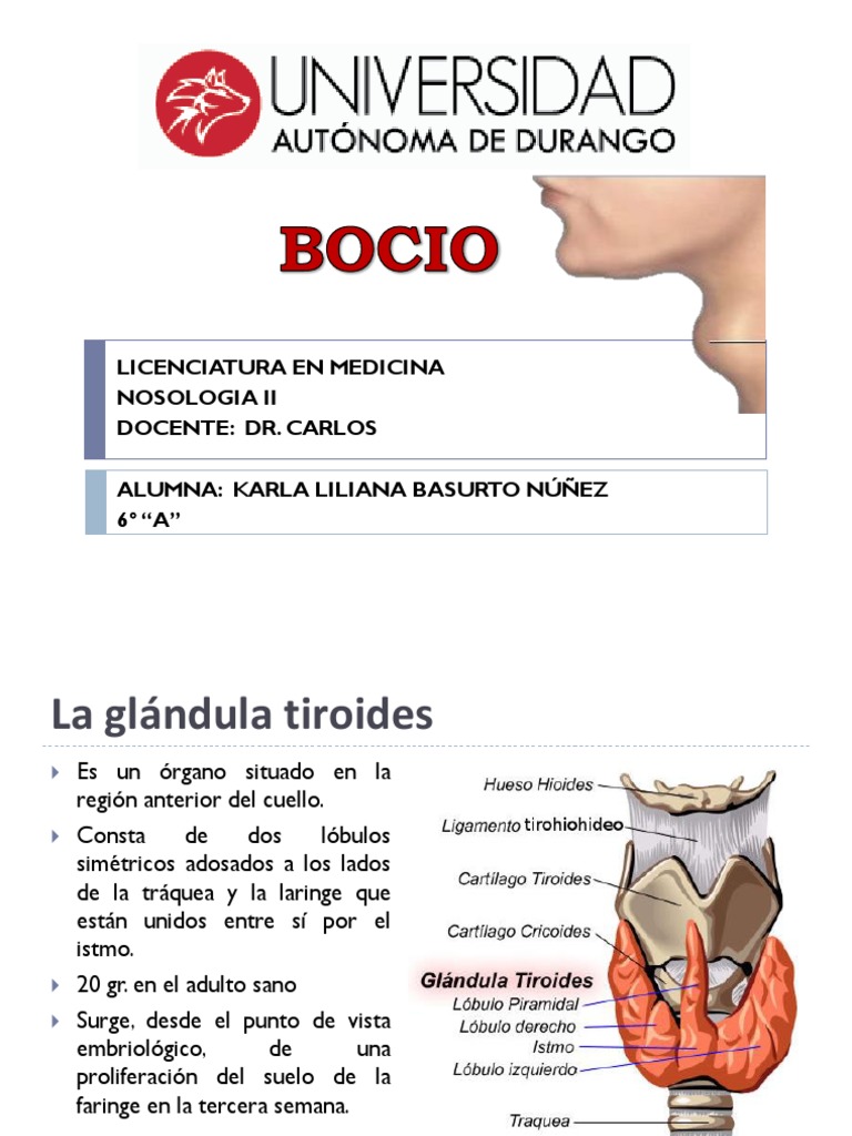 BOCIO | PDF | Tiroides | Hormona estimulante de la tiroides