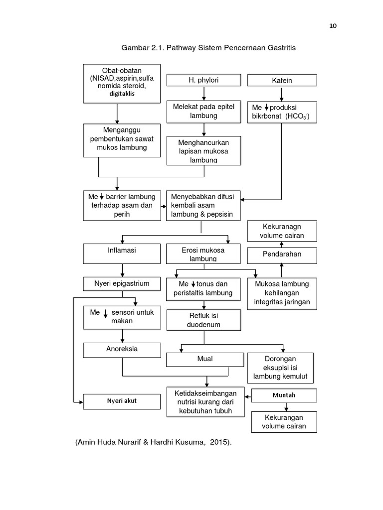 Gambar 2.1. Pathway Sistem Pencernaan Gastritis | PDF