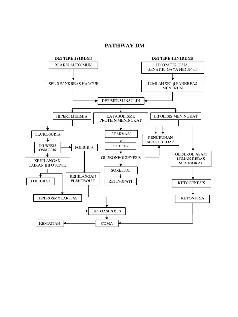 Pathway DM: DM Tipe I (Iddm) DM Tipe Ii (Niddm) | PDF