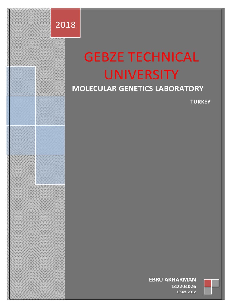 Miniprep Plasmid Dna Isolation With The Boiling Method | PDF | Plasmid ...