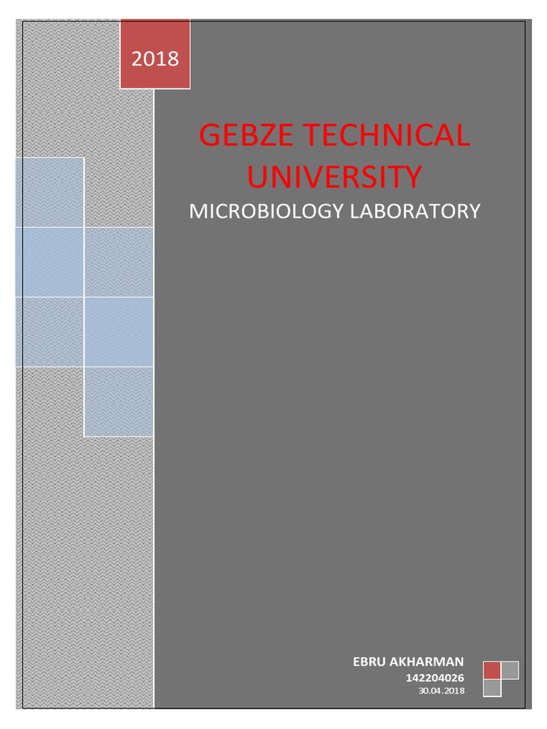 Biochemical Activities of Bacterias | PDF | Growth Medium | Biochemistry