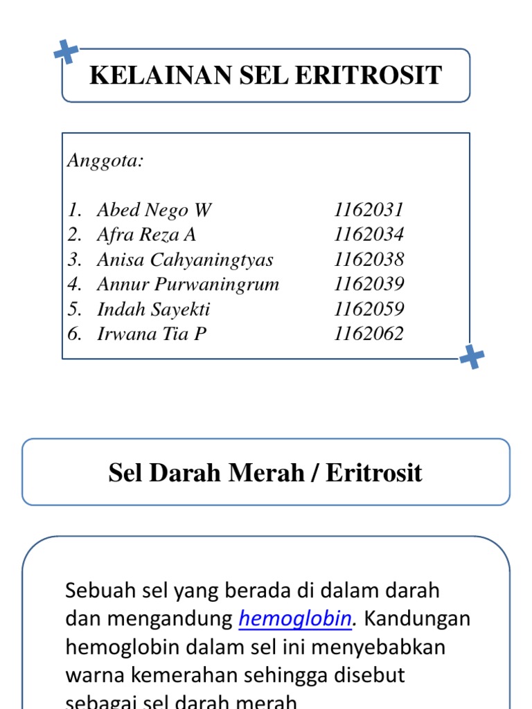 Kelainan Eritrosit Pdf