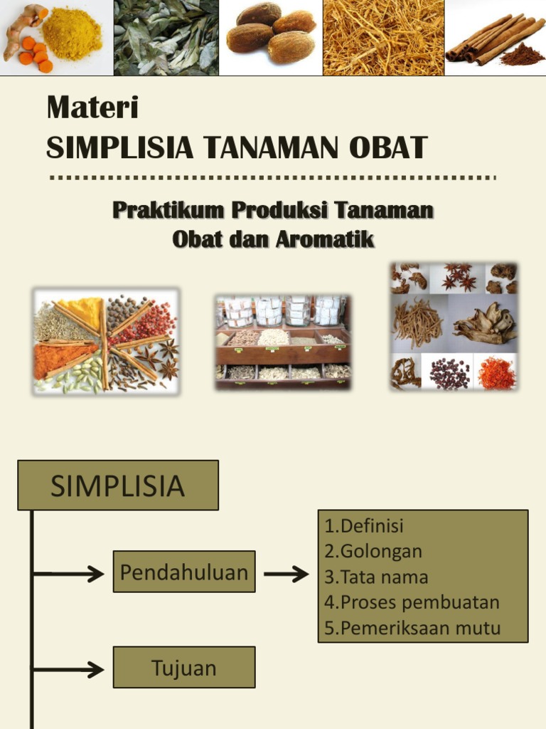 Simplisia Tanaman Obat | PDF