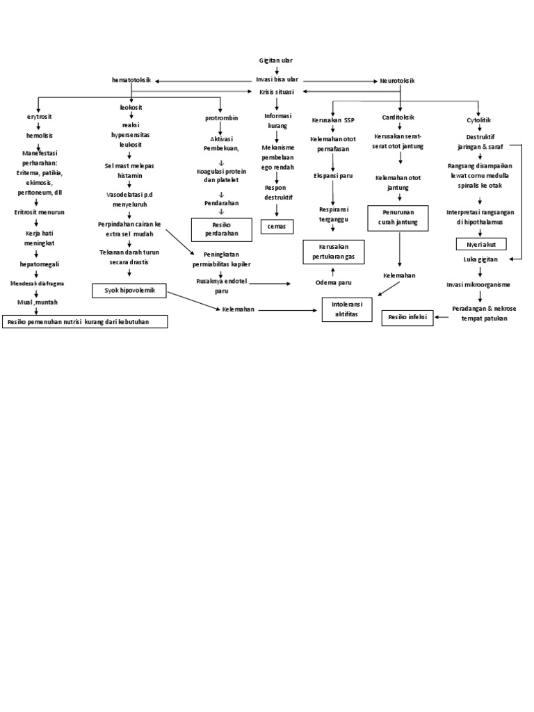 Snake Bite Management and Pathophysiology | PDF