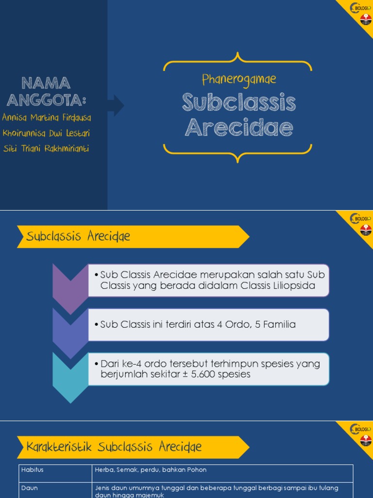 Subclassis Arecidae | PDF