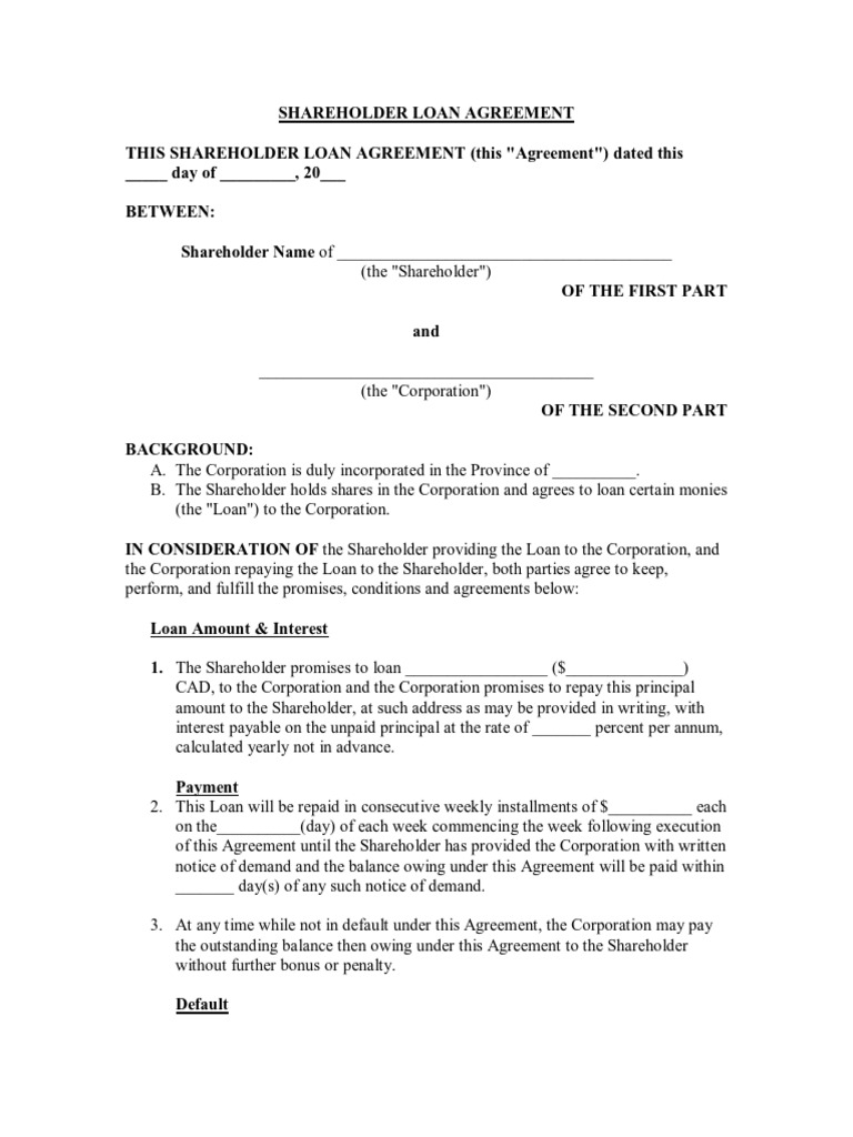 Shareholder Loan Agreement | PDF