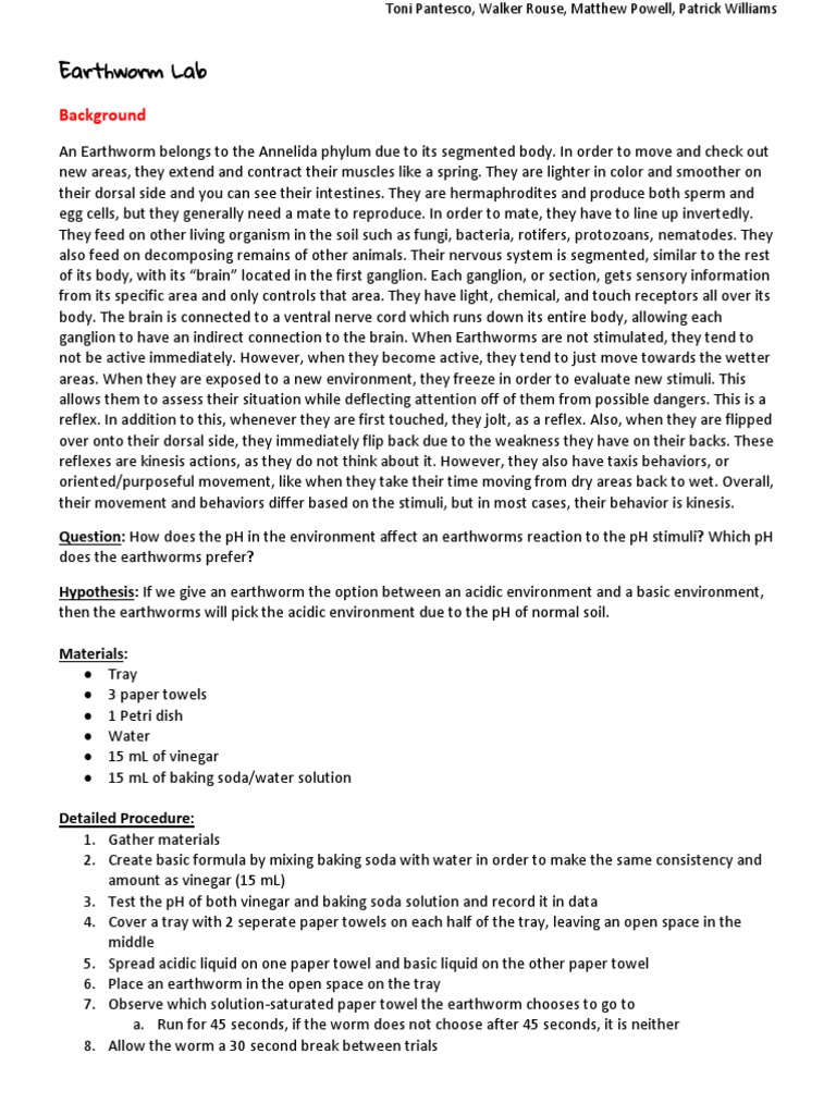 Earthworm Lab | PDF | Experiment | Biology