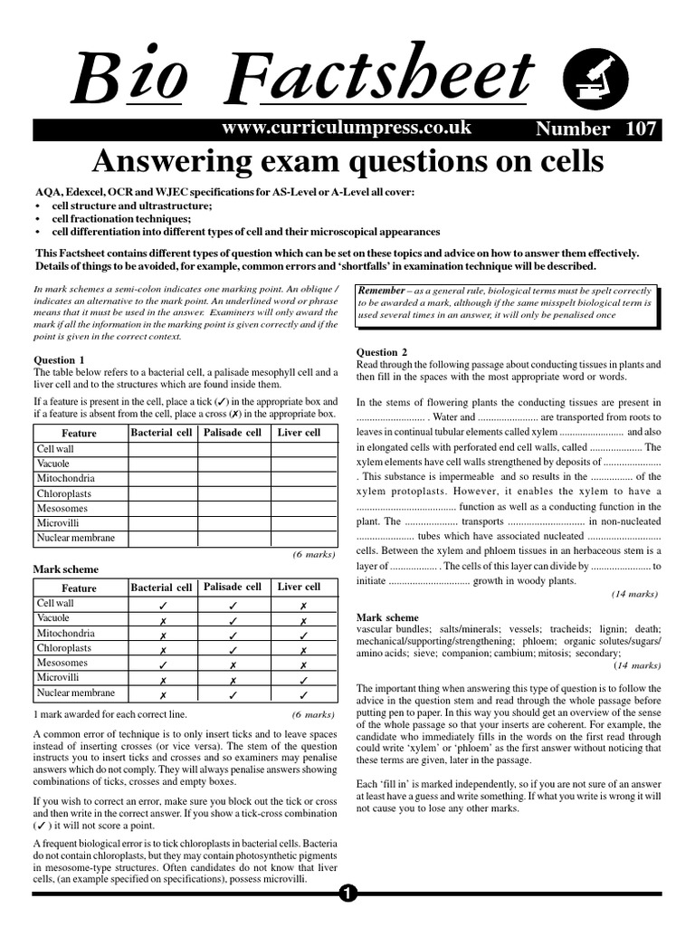 Answering Exam Questions On Cells | PDF | Endoplasmic Reticulum | Cell ...