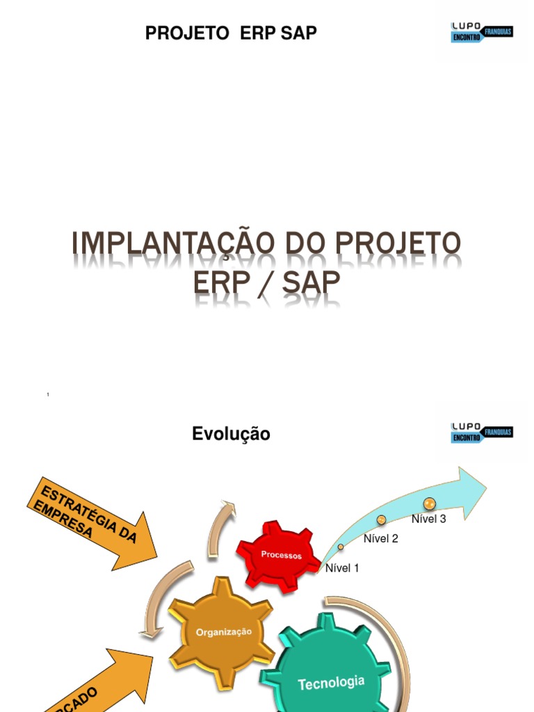 SAP ERP Implementation Overview | PDF | Enterprise Resource Planning ...
